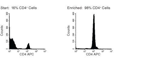 RosetteSep™ Human CD4+ T Cell Enrichment Cocktail | STEMCELL Technologies RosetteSep™ Human CD4+ T Cell Enrichment Cocktail | STEMCELL Technologies